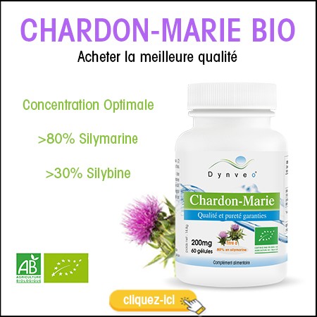 Tout savoir sur le chardon-Marie sur chardonmarie.fr